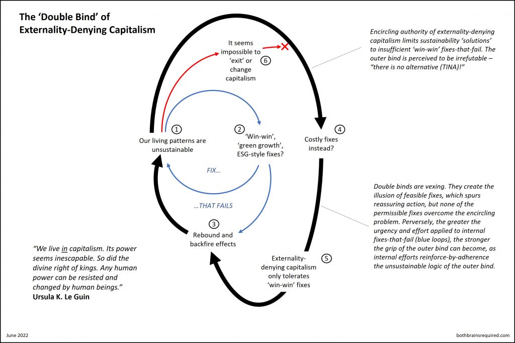 The Double Bind Of Externality Denying Capitalism Both Brains Required The Double Bind Of Externality Denying Capitalism Both Brains Required